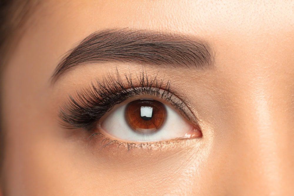 Eyelash Growth: Understanding the Lash Growth Cycle - lash + beauty co